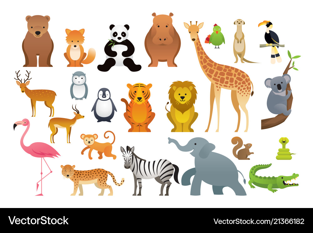 Wild animals set Royalty Free Vector Image - VectorStock
