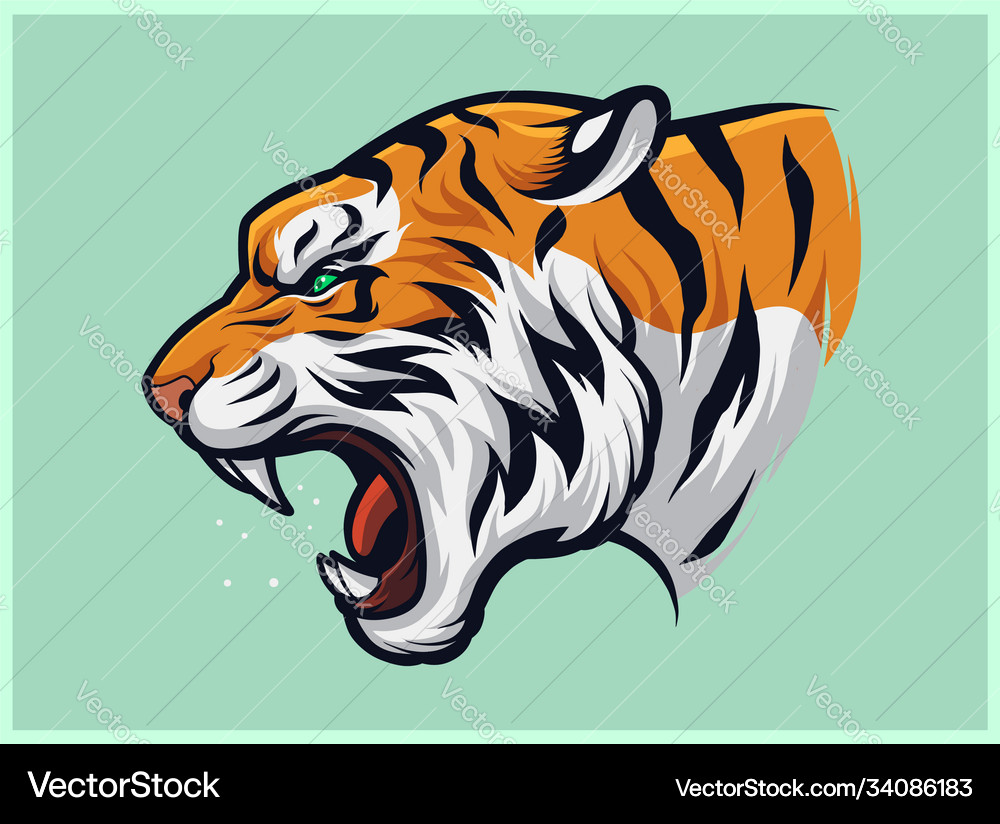 Angry roaring tiger panthera tigris Royalty Free Vector