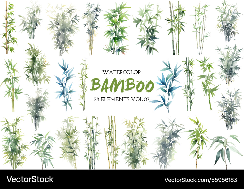 Watercolor painted bamboo clipart hand drawn Vector Image