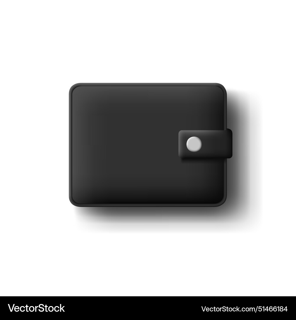 Black leather 3d wallet with a clasp view from Vector Image