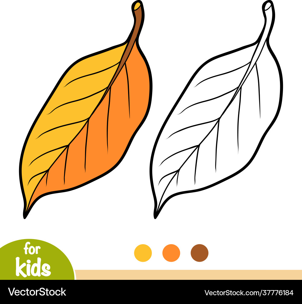 Coloring book pear tree leaf Royalty Free Vector Image