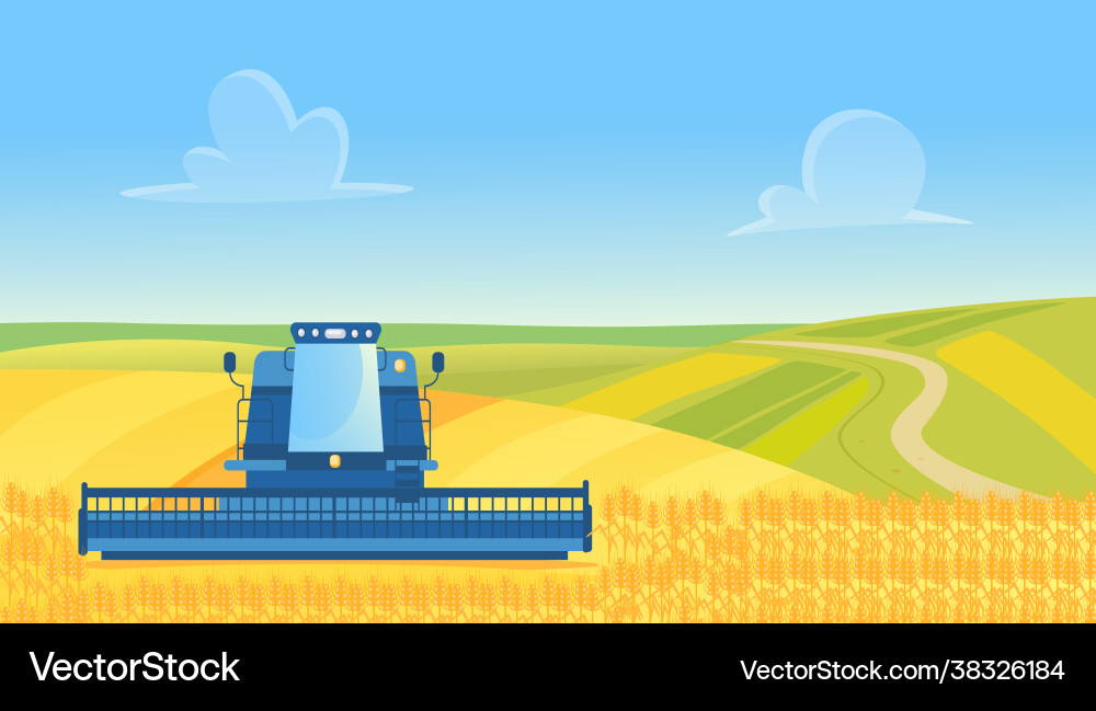 Farm harvester working harvesting wheat from Vector Image