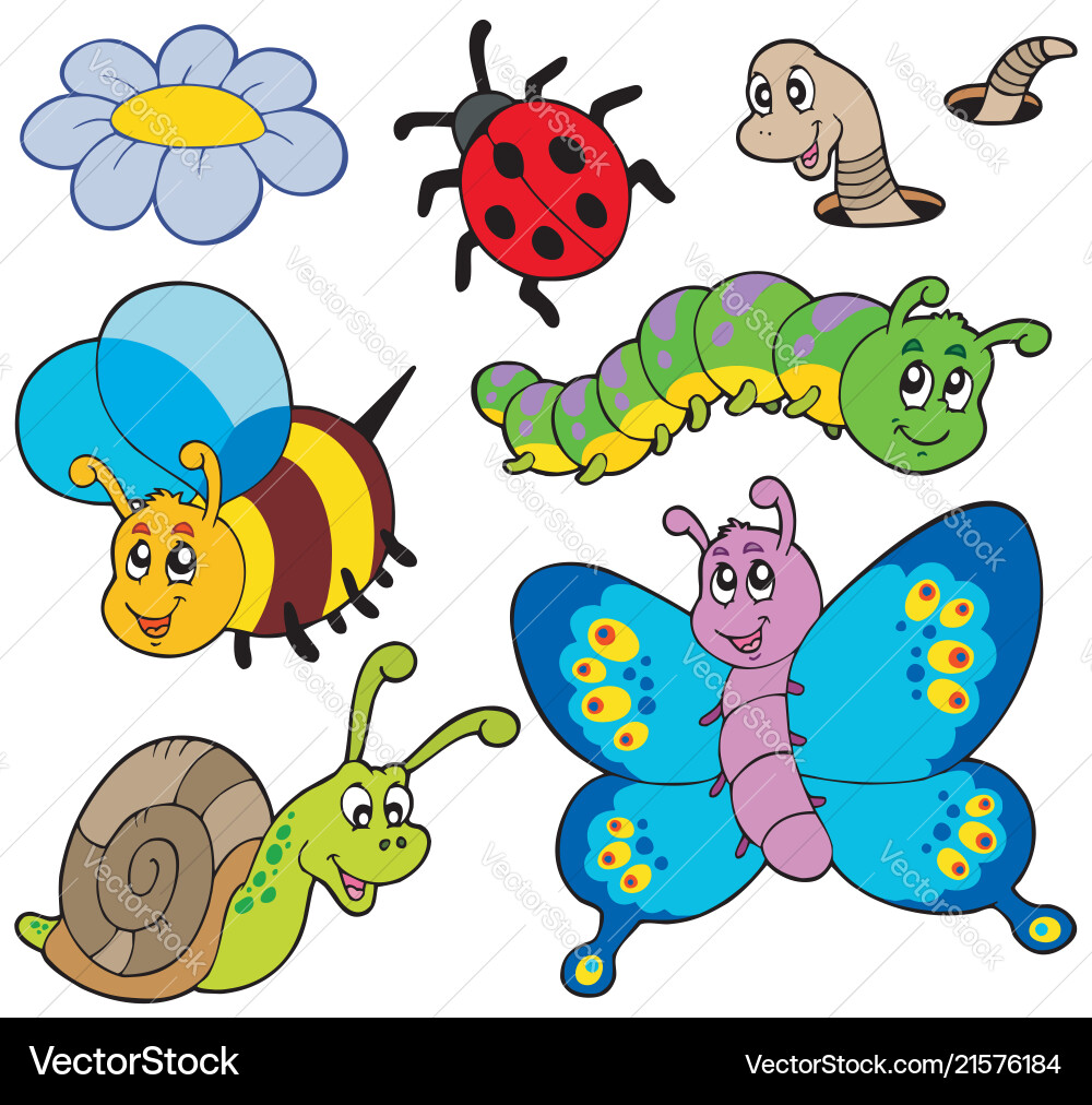 Garden animals collection Royalty Free Vector Image