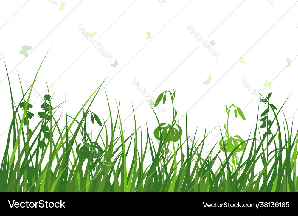 Green grass meadow Royalty Free Vector Image - VectorStock