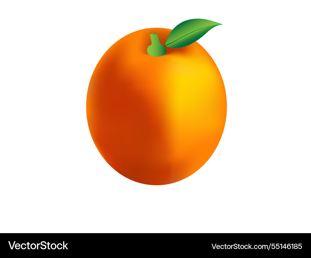 Juicy sweet and packed with refreshing goodness Vector Image