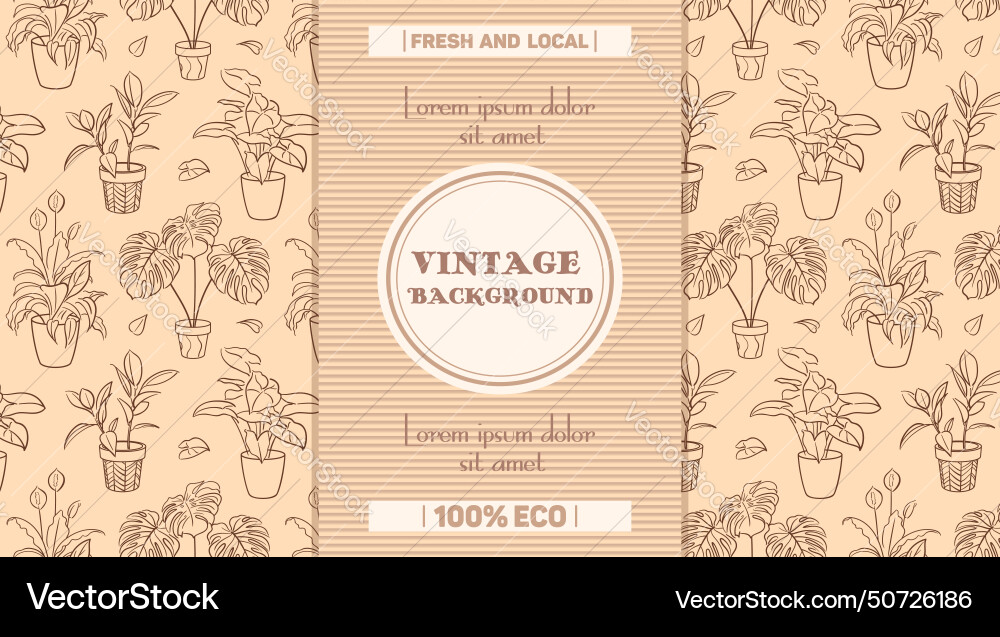 Eco packaging products for home floriculture Vector Image