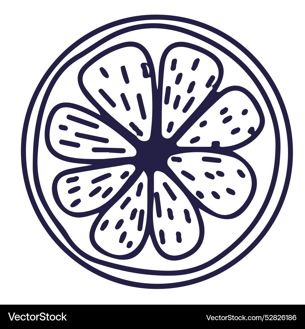 Line of orange slice hand Royalty Free Vector Image