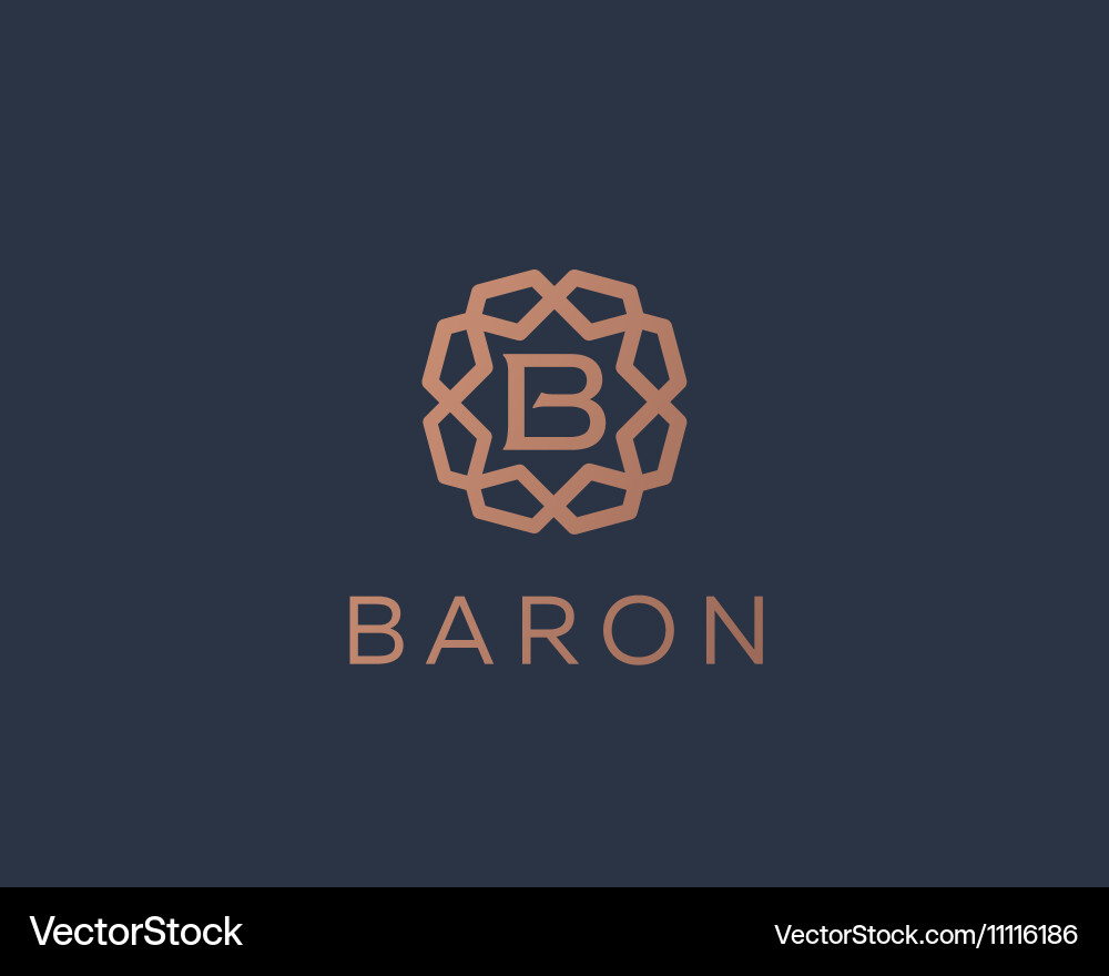 Premium letter b logo icon design luxury Vector Image