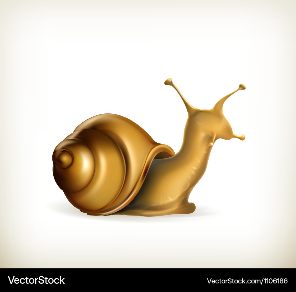 Snail Royalty Free Vector Image - VectorStock