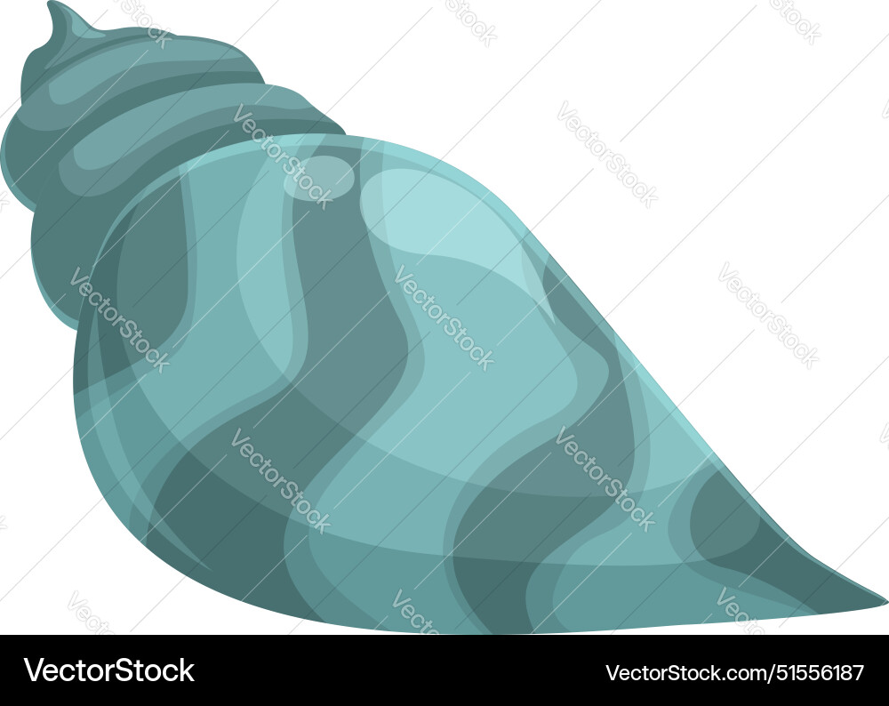 Beautiful turquoise shell lying on white Vector Image