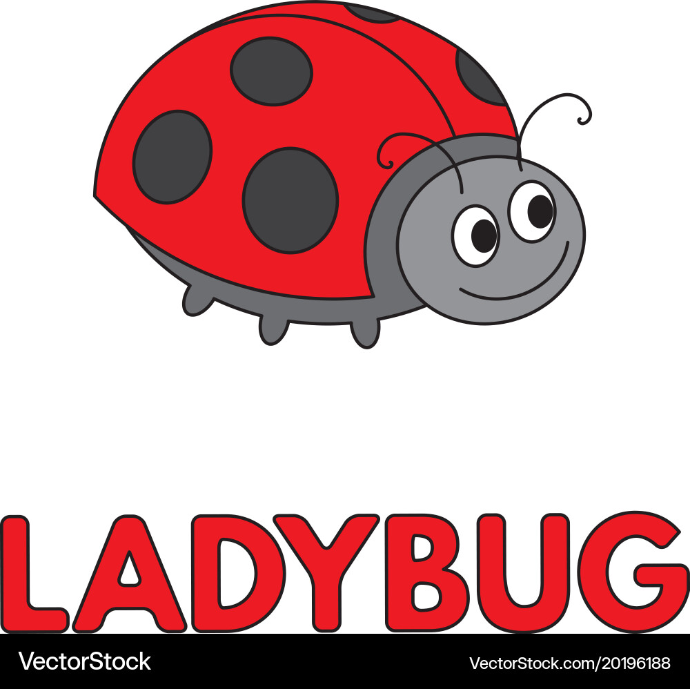 Simple Cartoon Ladybug