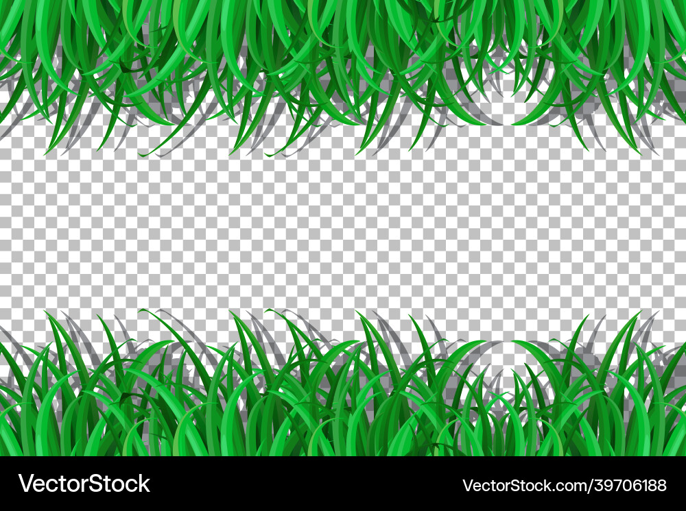 Nature plants frame transparent background Vector Image