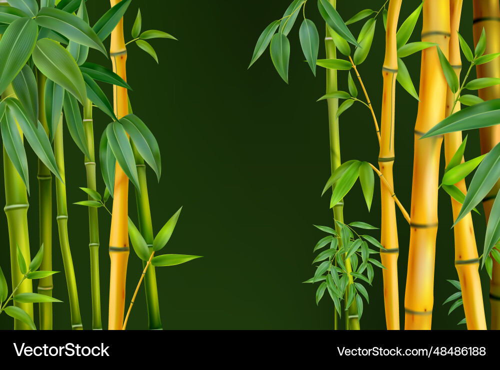 Realistic bamboo concept Royalty Free Vector Image