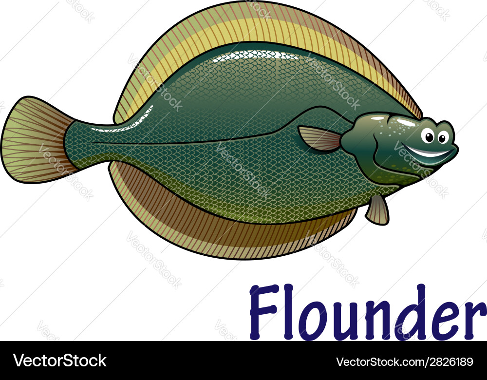 Flounder fish cartoon character Royalty Free Vector Image