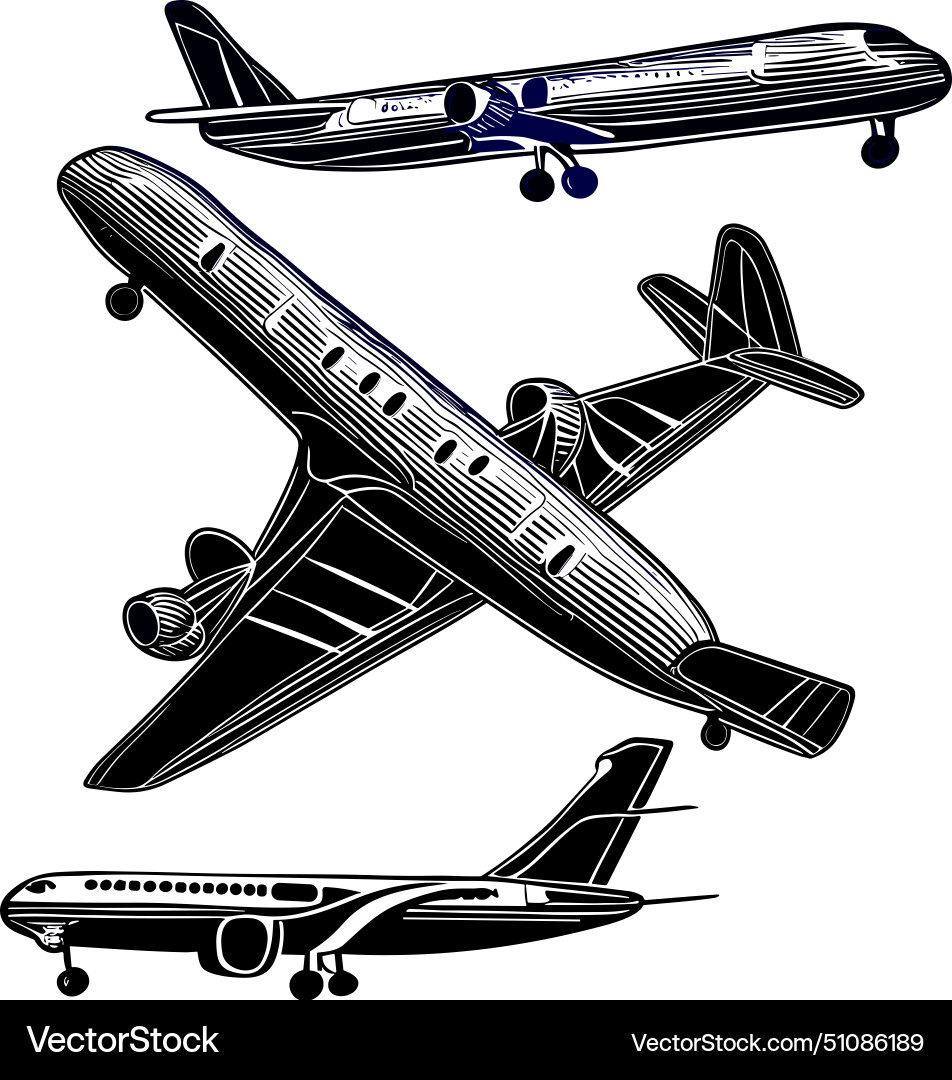 Wings of precision black white Royalty Free Vector Image