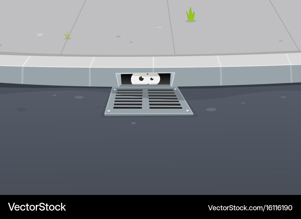 Cartoon Eyes in Pavement Gutter Royalty Free Vector Image