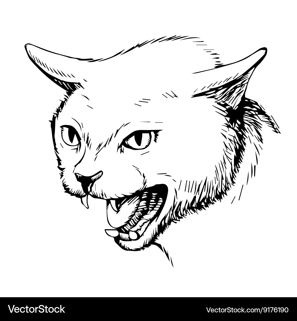 Grumpy Kitten Doodle Royalty Free Vector Image