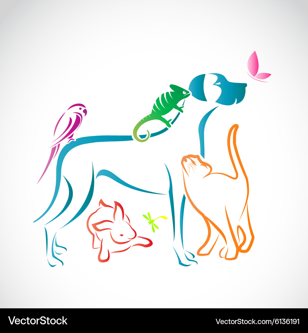 Colorful Pets Collection Royalty Free Vector Image