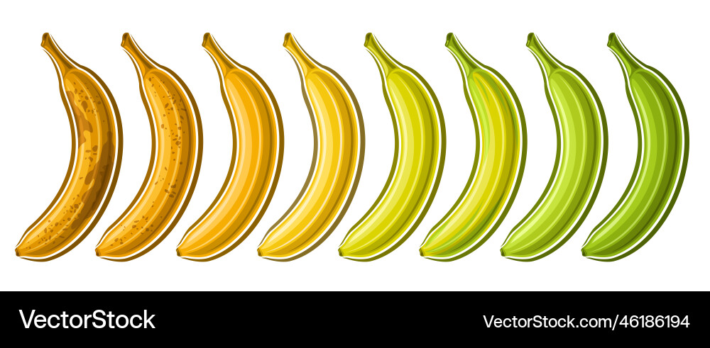 Banana set Royalty Free Vector Image - VectorStock