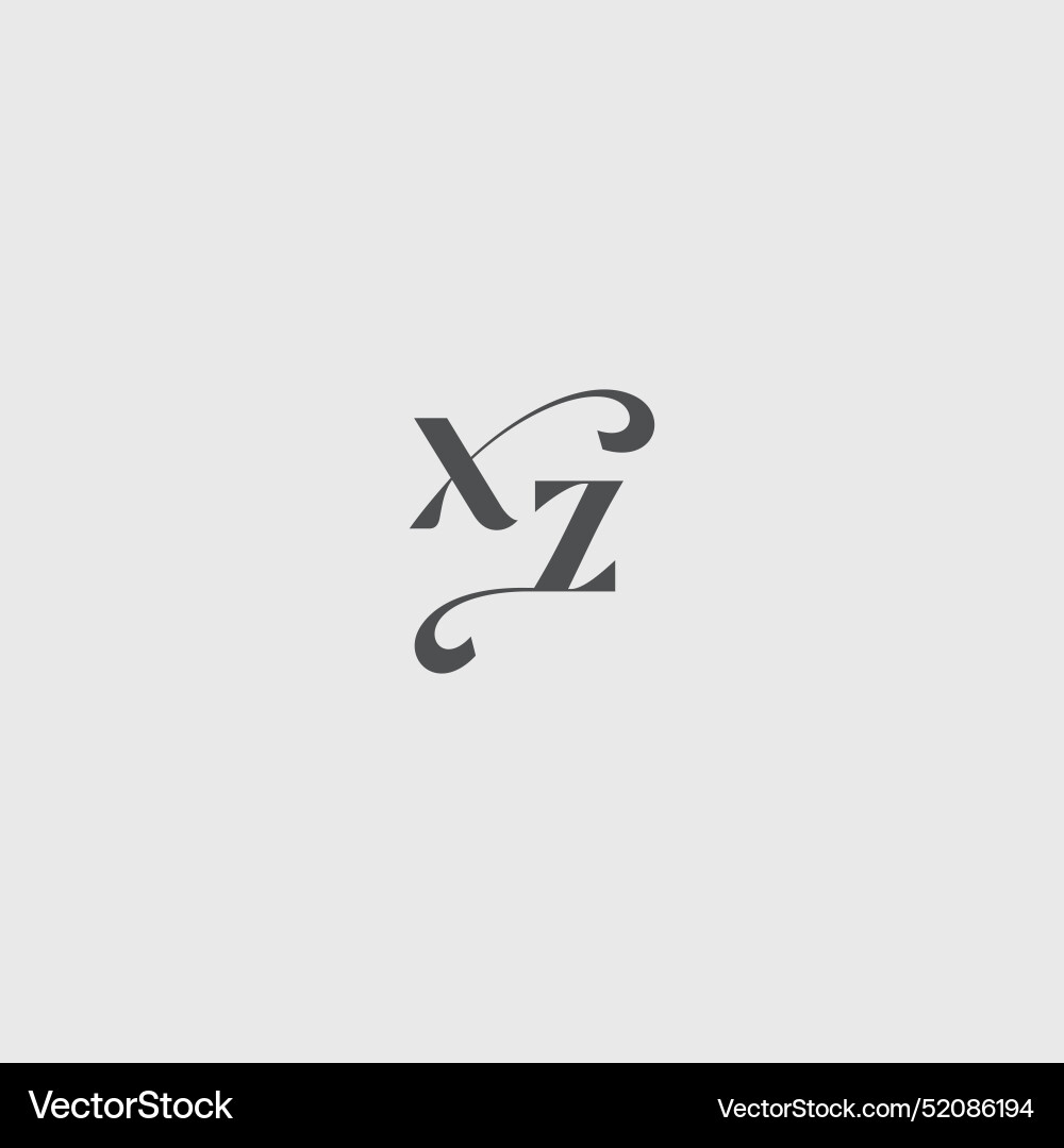Xz letter simple and minimalism classy black Vector Image