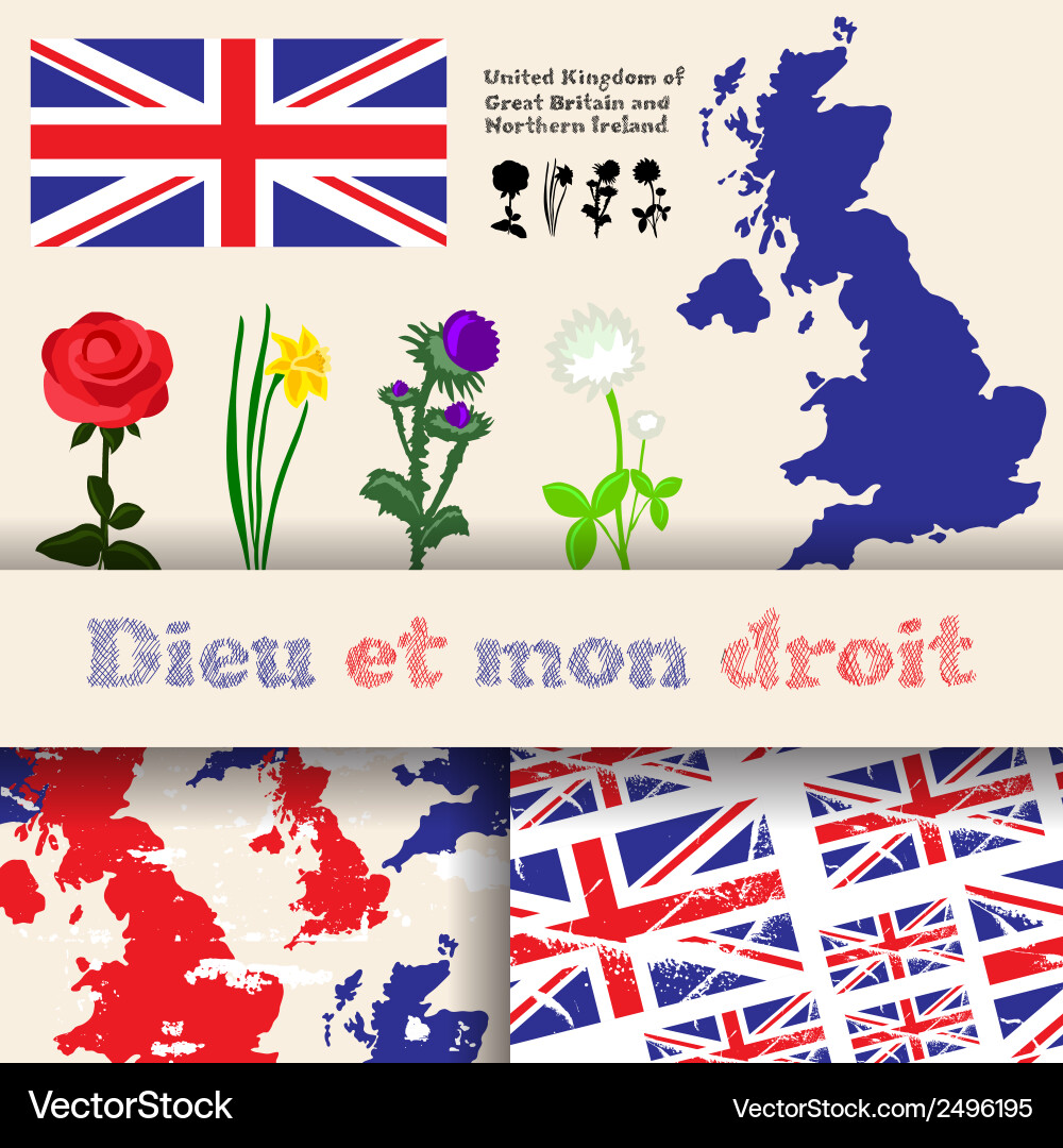 England floral symbols Royalty Free Vector Image