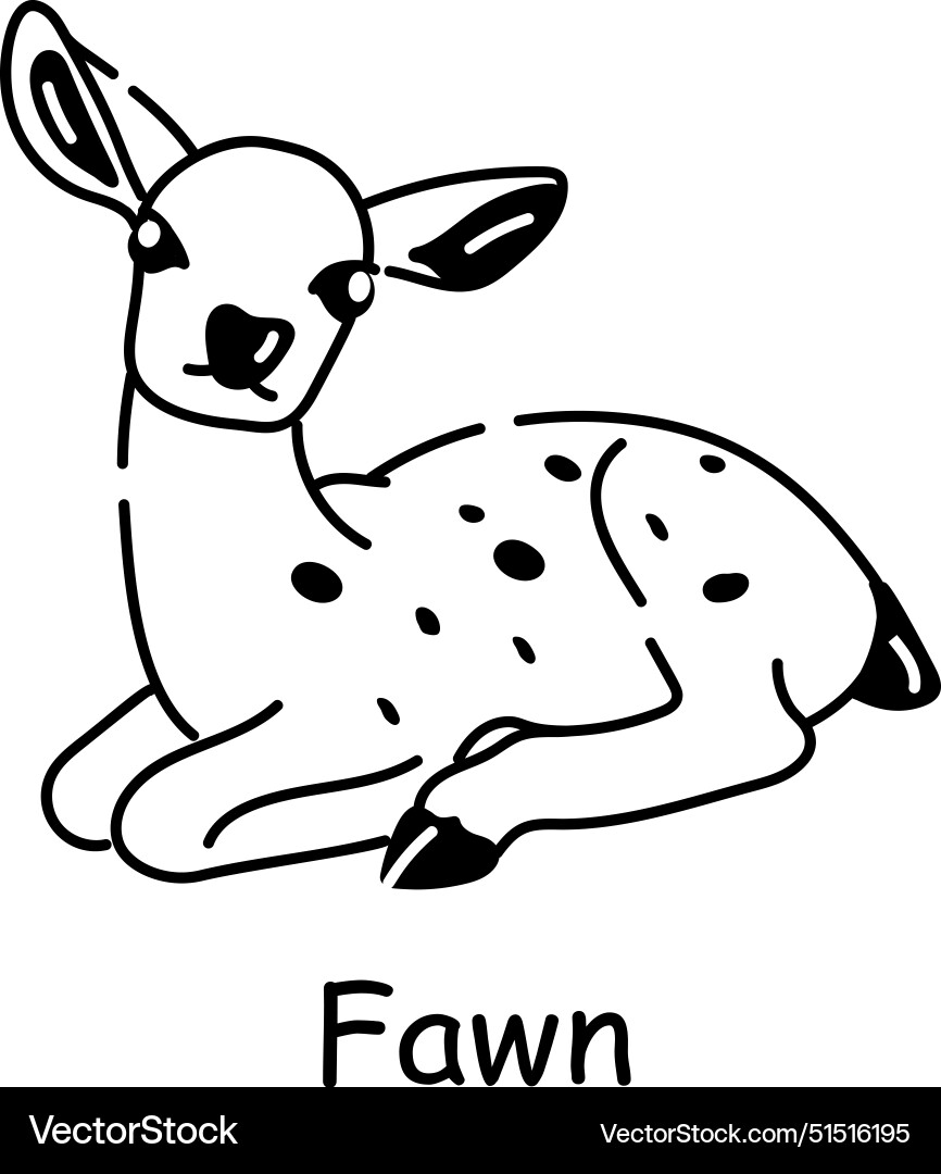 Fawn Royalty Free Vector Image - VectorStock