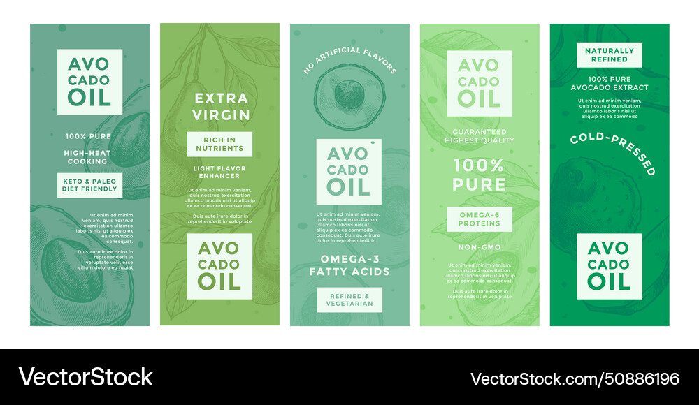 Label design set for avocado oil product package Vector Image