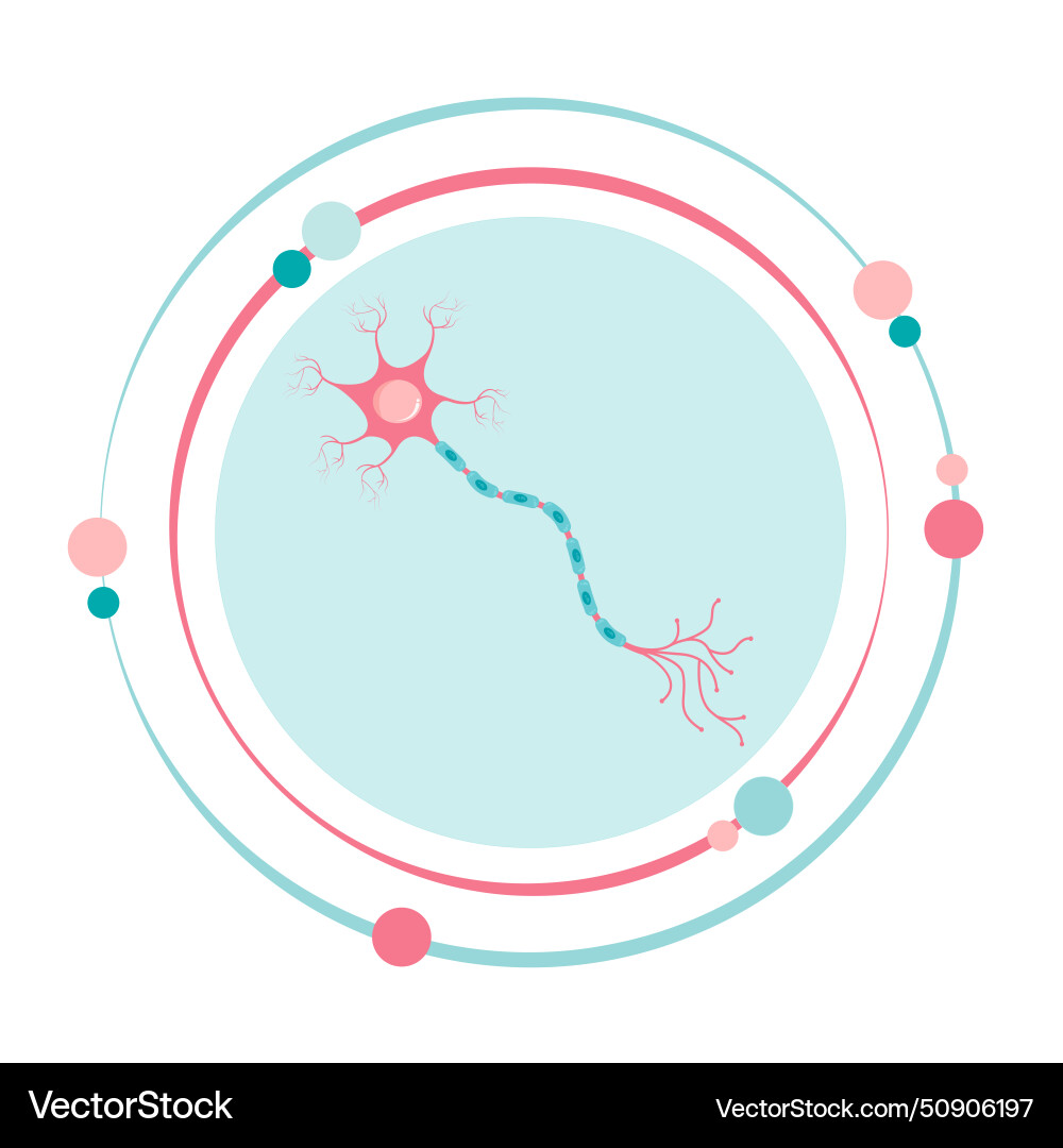 Neuron icon Royalty Free Vector Image - VectorStock