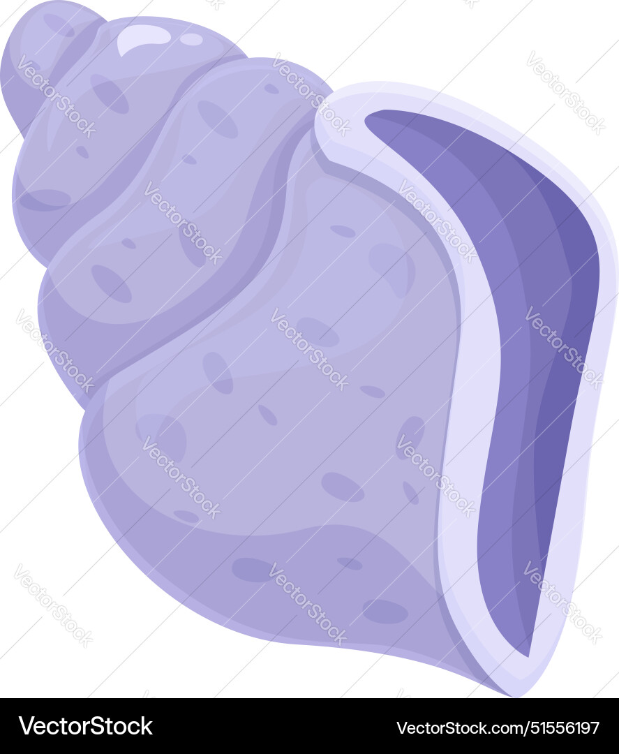 Purple shell lying showing its inside spiral Vector Image