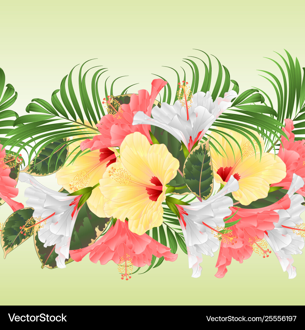Tropical Hibiscus Floral Border Royalty Free Vector Image