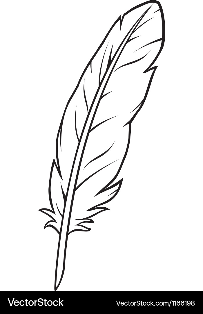 Feather Royalty Free Vector Image - VectorStock