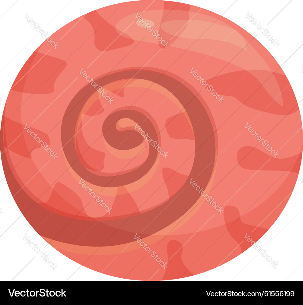 Pink seashell showing spiral pattern of mollusc Vector Image