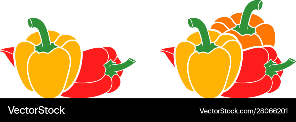 Bell pepper Royalty Free Vector Image - VectorStock