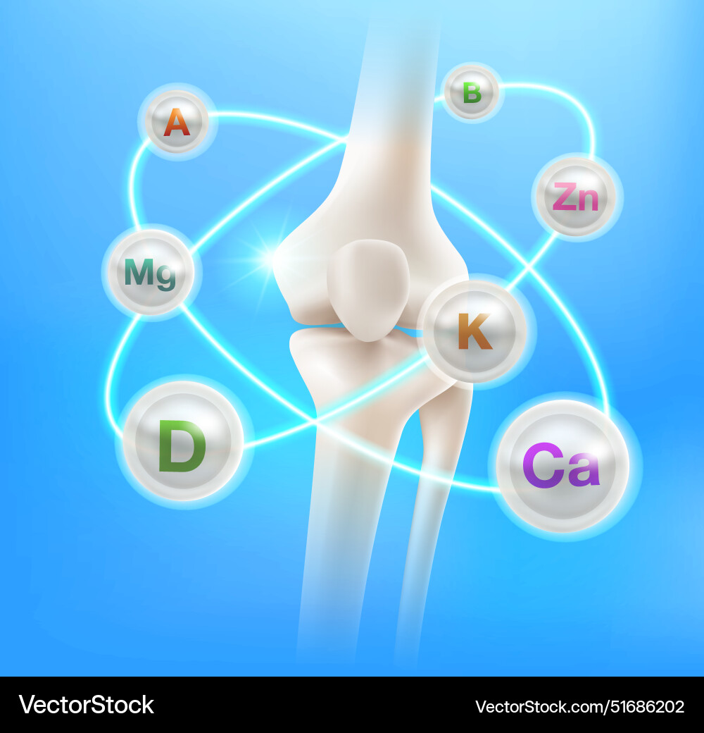 Multivitamin Bone Health Royalty Free Vector Image