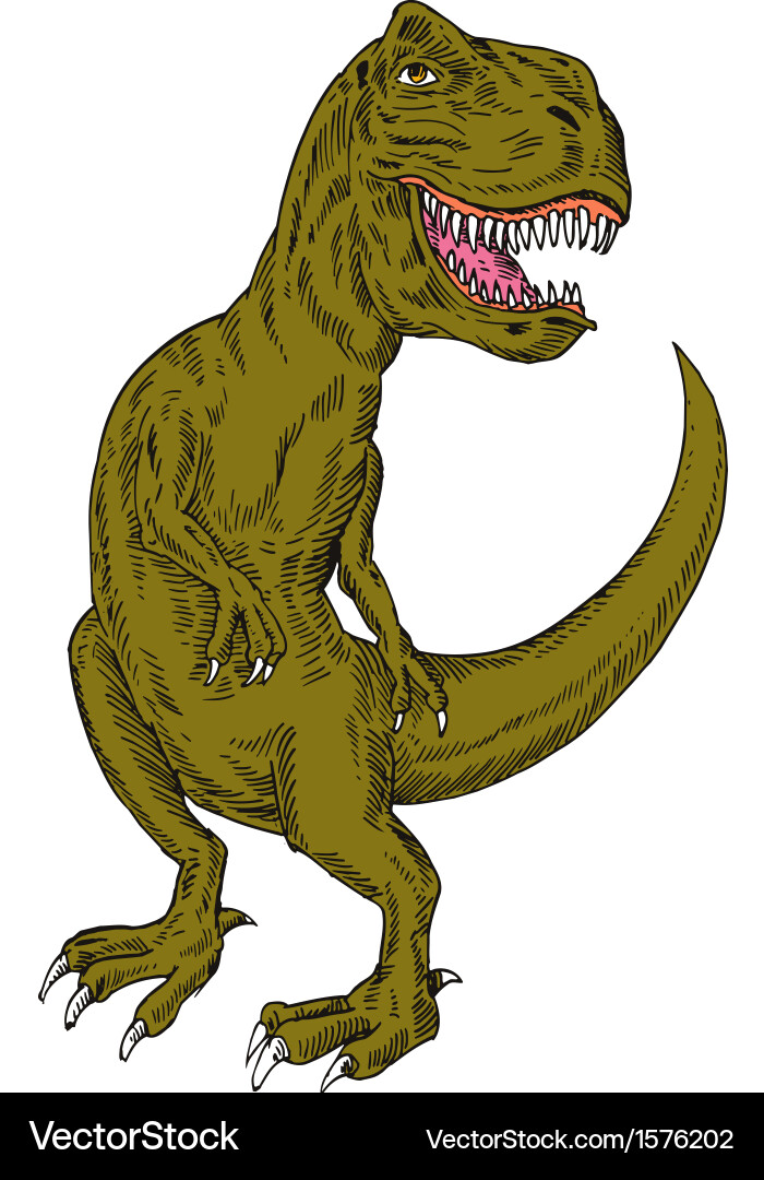T-rex dinosaur Royalty Free Vector Image - VectorStock