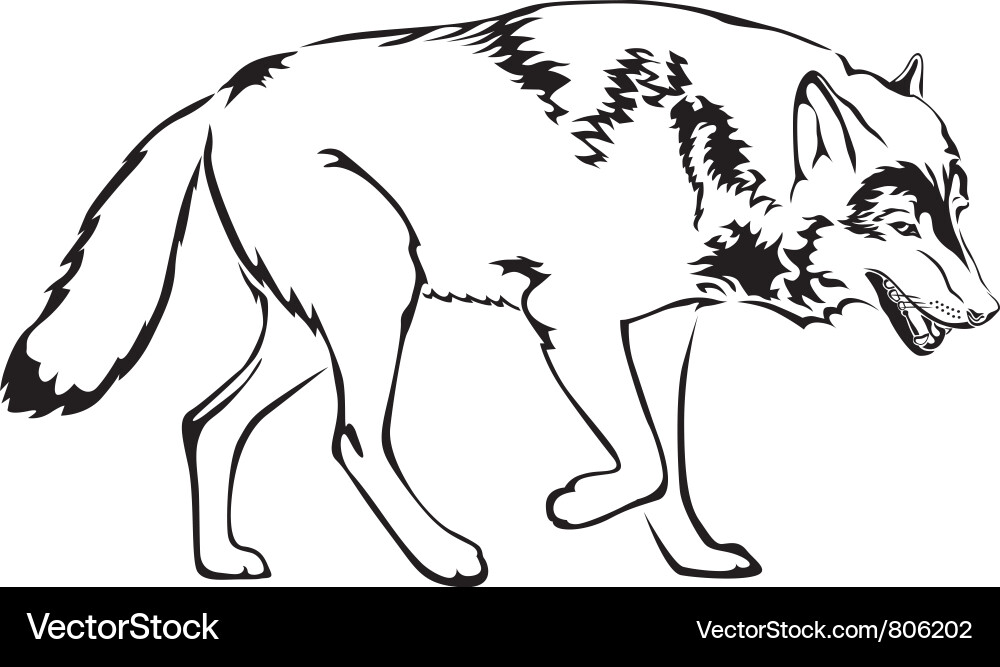 Wolf Royalty Free Vector Image - VectorStock