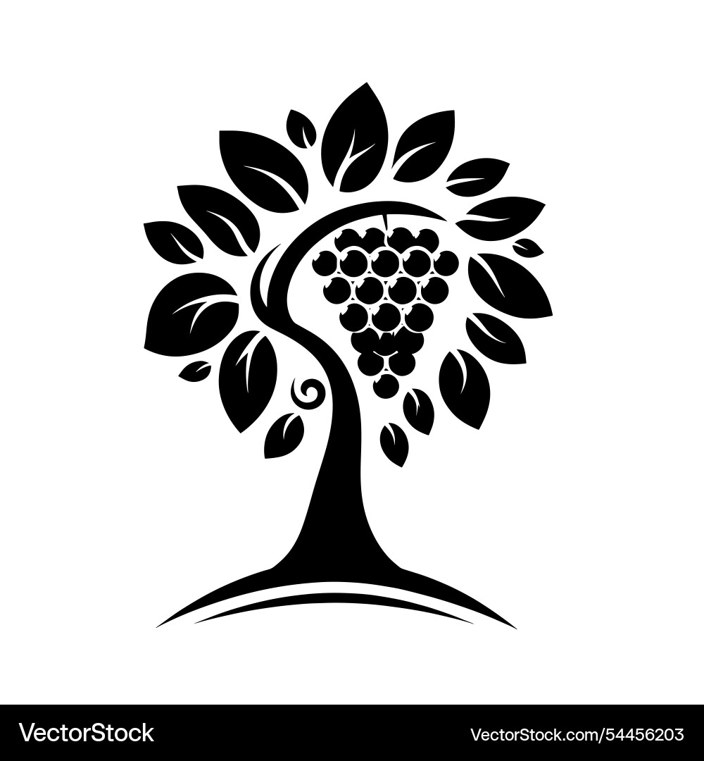 Grapevine tree Royalty Free Vector Image - VectorStock