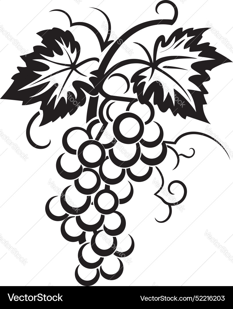 Grapevine unity black logo icon fruitful Vector Image