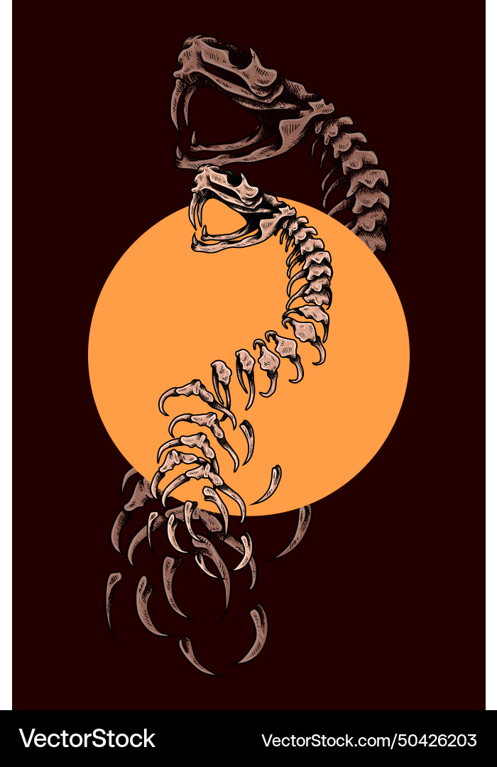 Snake skull Royalty Free Vector Image - VectorStock