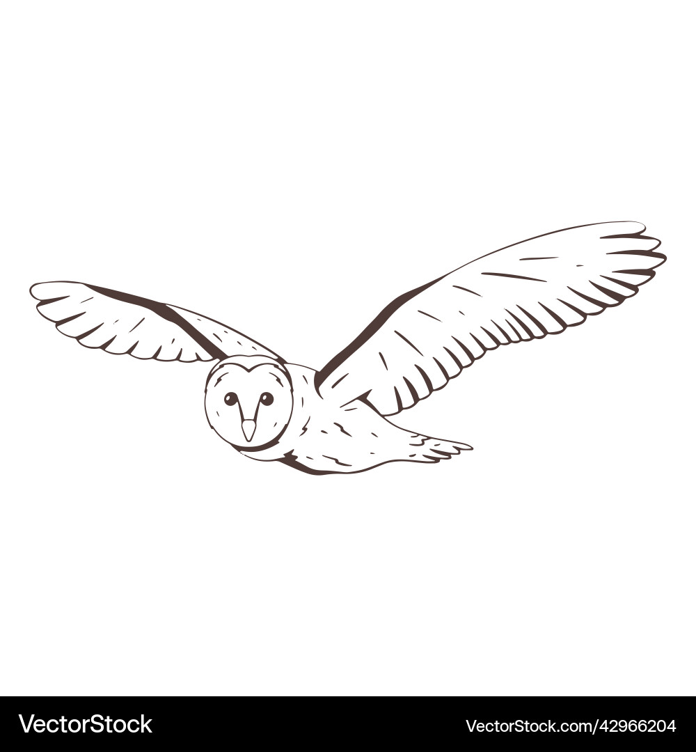 Hand-Drawn Barn Owl Royalty Free Vector Image - VectorStock