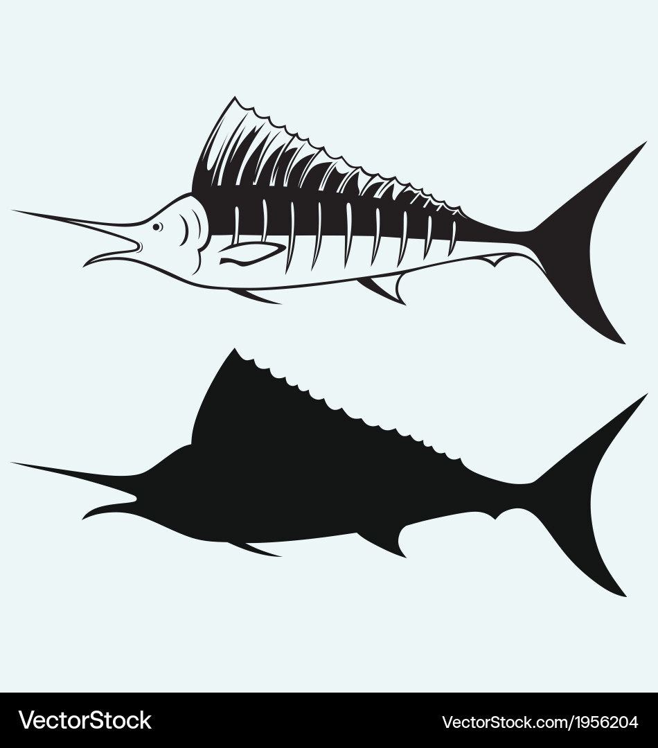 Sailfish saltwater fish Royalty Free Vector Image