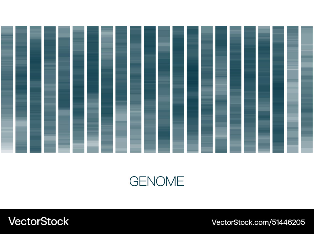 Big genomic data visualization Royalty Free Vector Image