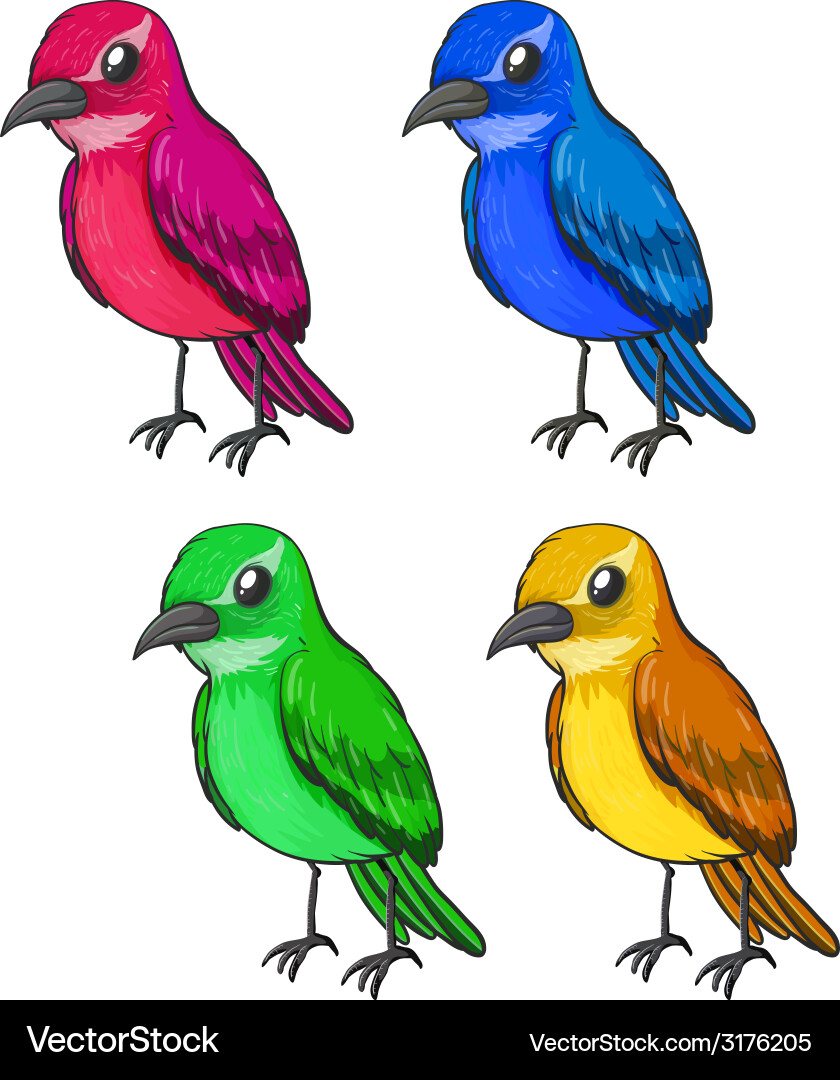 Bird Royalty Free Vector Image - VectorStock