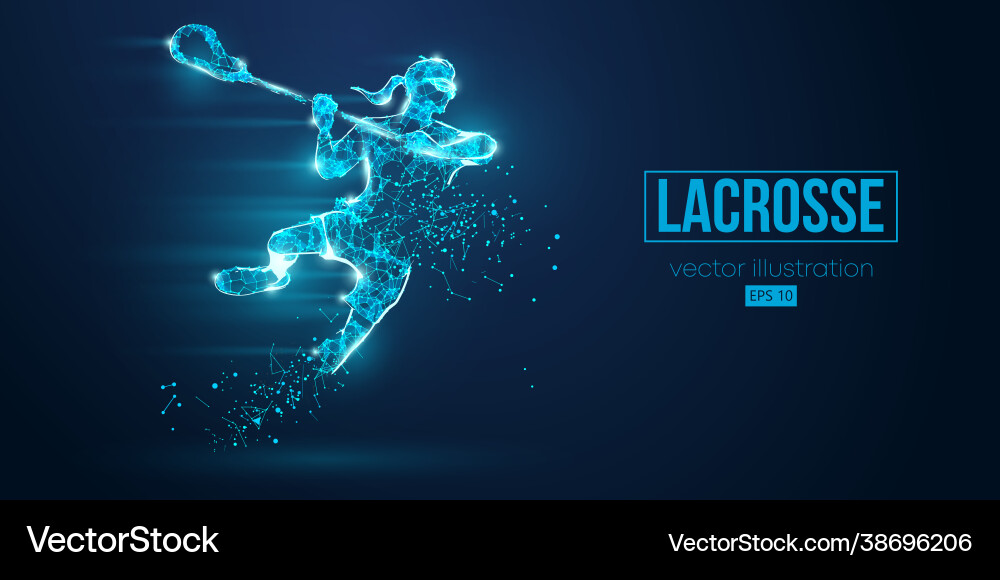 Abstract silhouette a wireframe lacrosse Vector Image