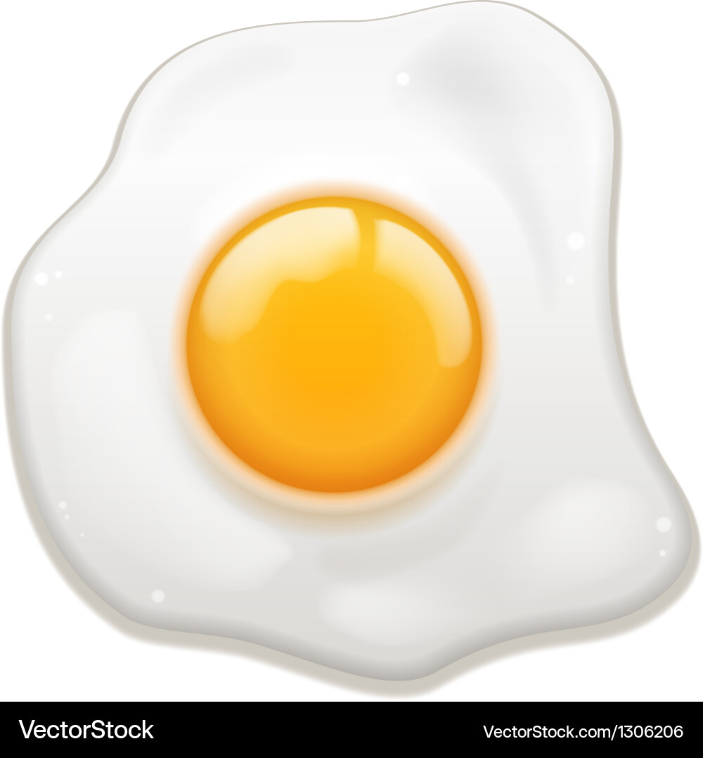 Fried egg Royalty Free Vector Image - VectorStock