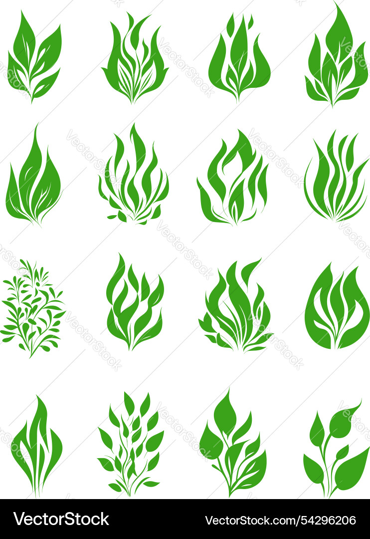 Green leaves icon set Royalty Free Vector Image