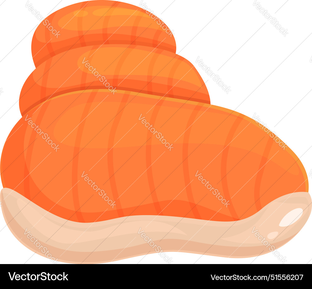 Big orange edible sea mollusk shell lying Vector Image