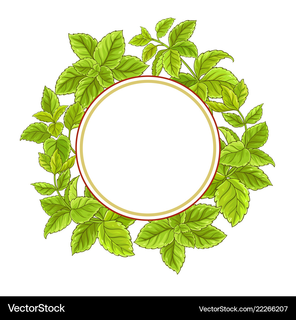 Melissa frame Royalty Free Vector Image - VectorStock