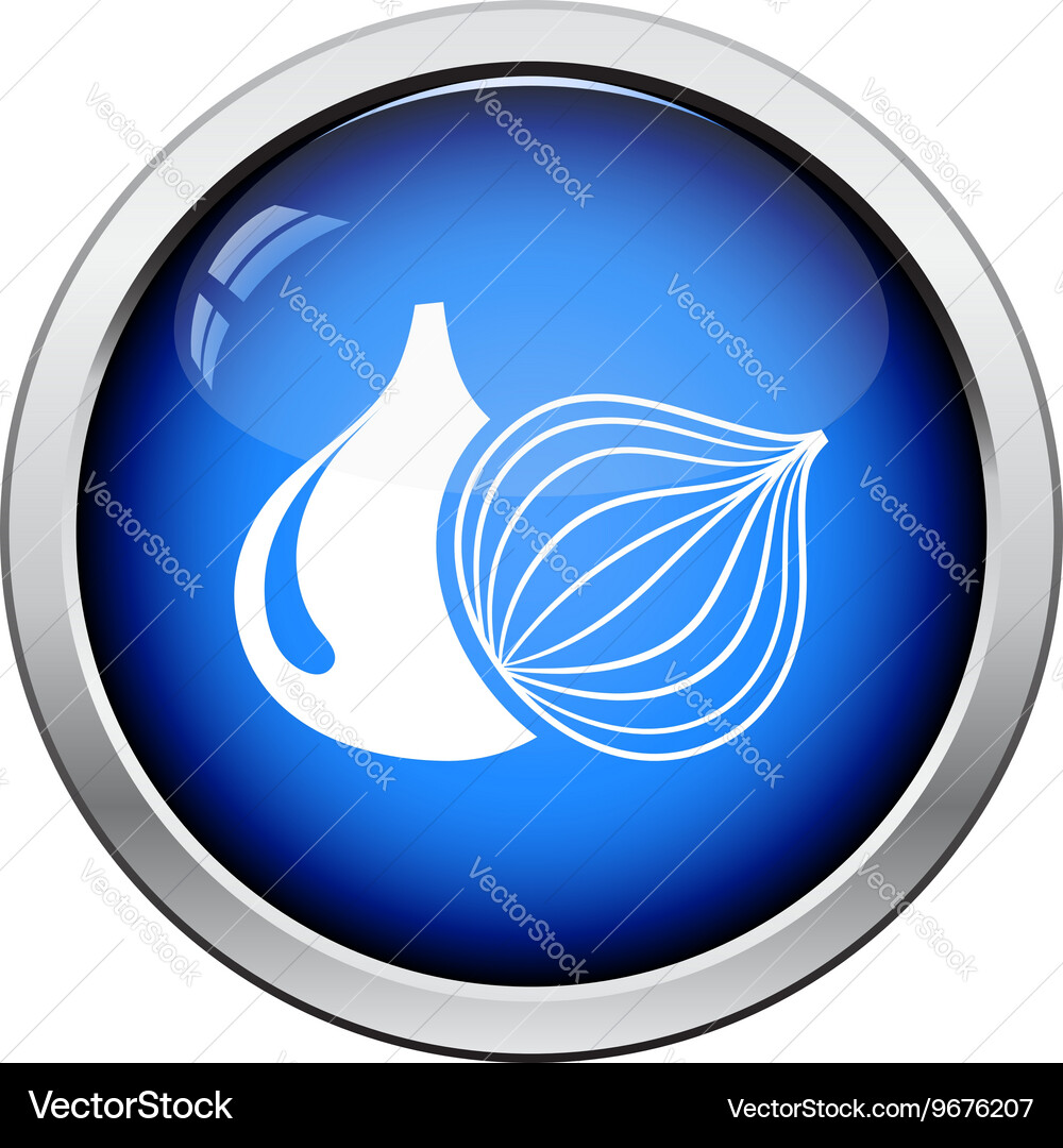Onion icon Royalty Free Vector Image - VectorStock
