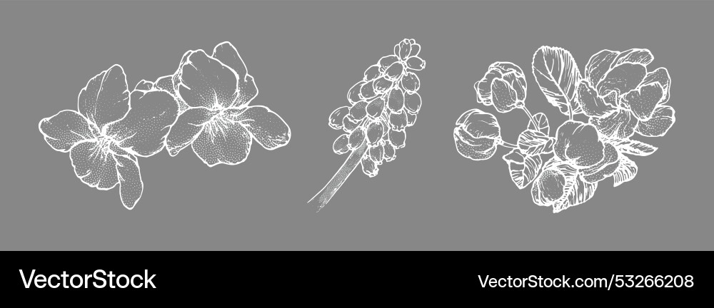 Spring flowers drawing with line art on grey Vector Image